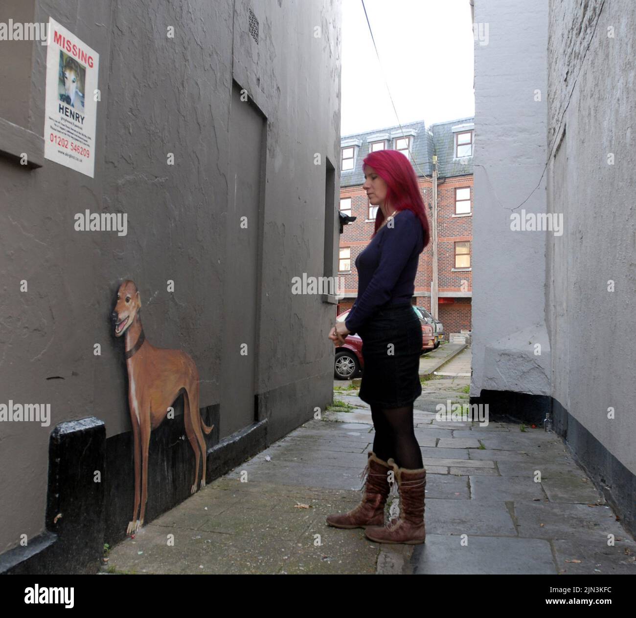 THE MISSING MURAL FOR HENRY THE GREYHOUND MISSING FROM HIS HOME AT ...