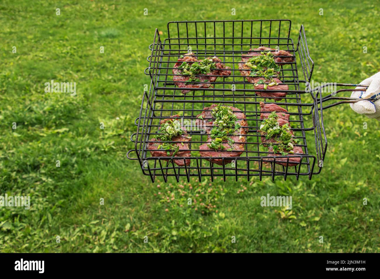 Meat beef steak barbecue on the grill with smoke, green grass ...