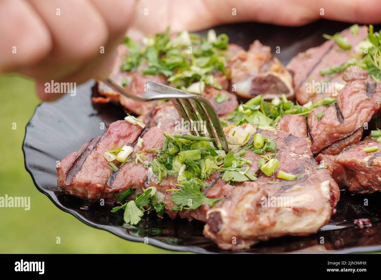 Meat beef steak barbecue on the grill with smoke, green grass ...