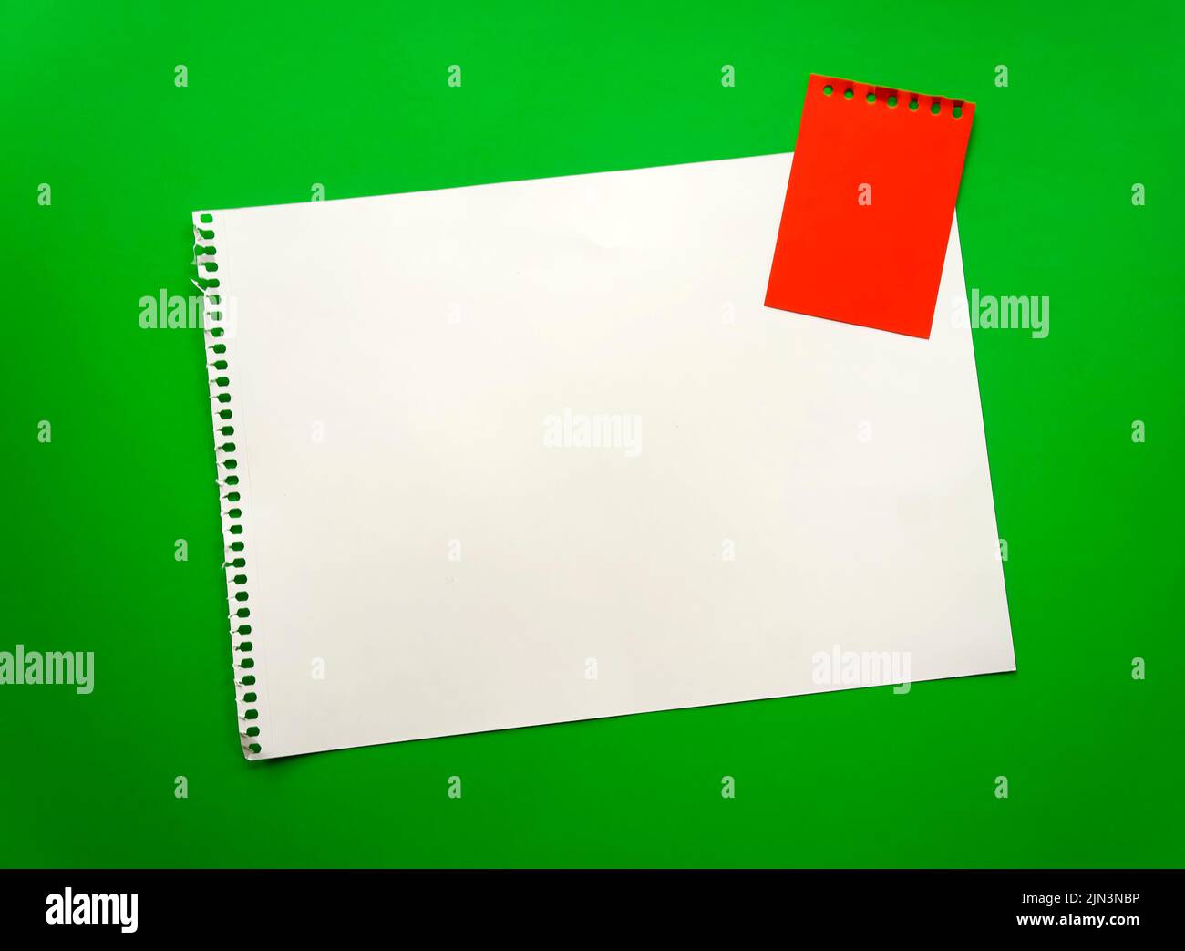 Blank sheet of paper space for design and lettering on a beautiful ...