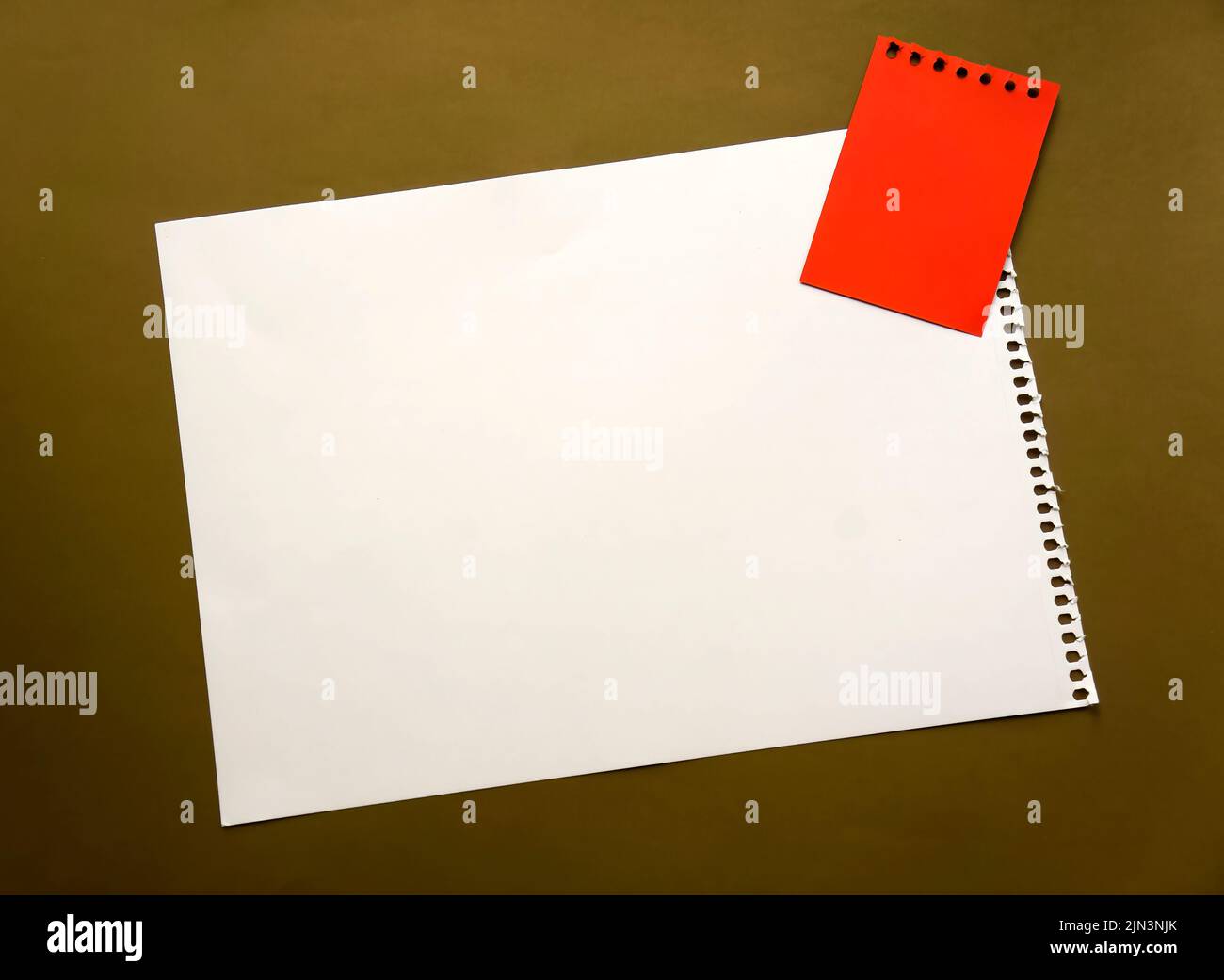 Blank sheet of paper space for design and lettering on a beautiful ...