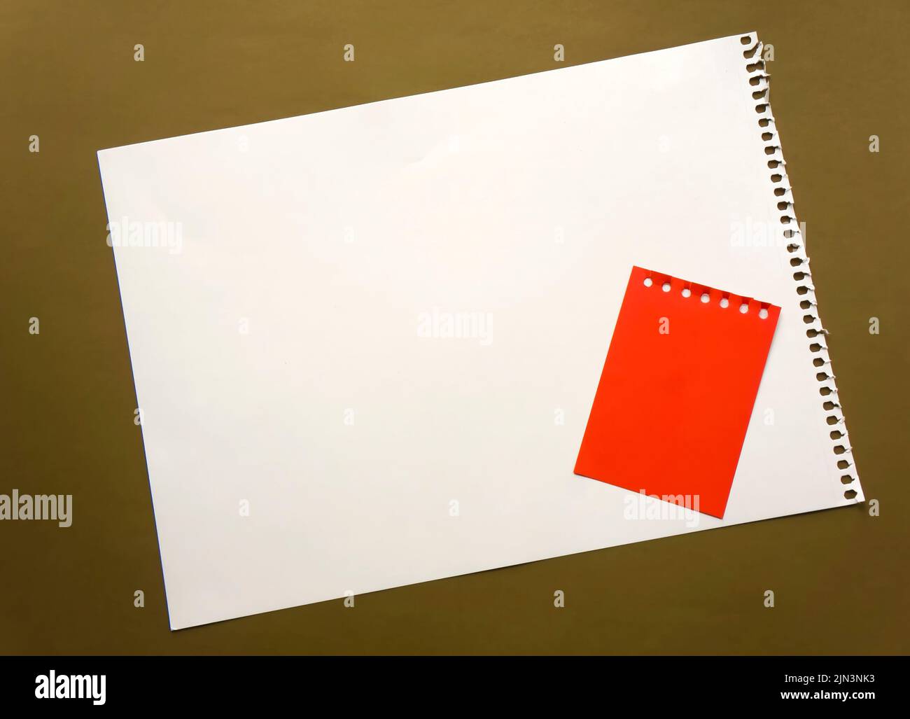 Blank sheet of paper space for design and lettering on a beautiful ...