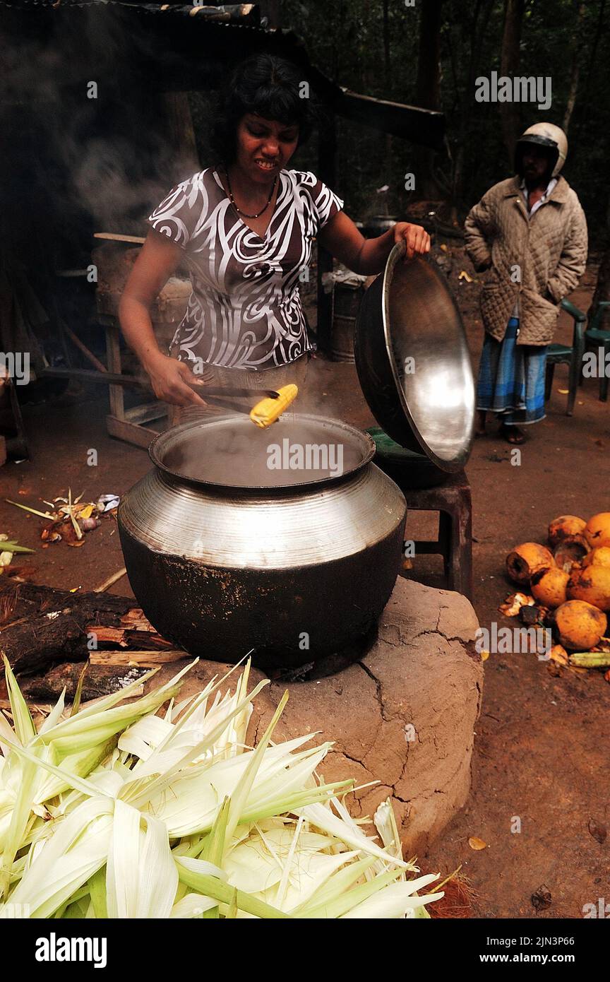 Sri Lanka, Asia, travel,people, human, daily life, lifestyle, Photo ...
