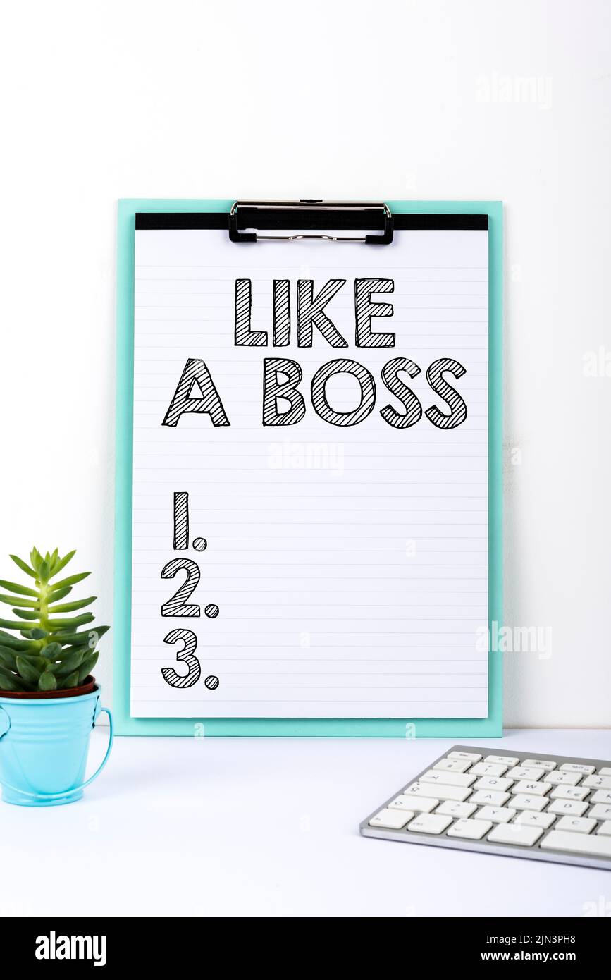 Conceptual caption Like A Boss. Business approach Acting as if you are ...