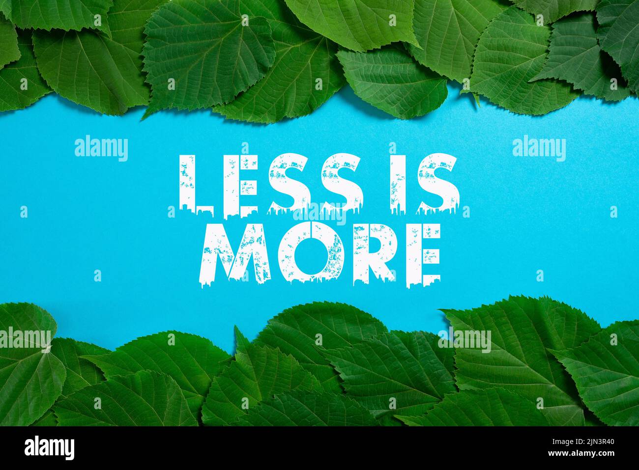 Conceptual caption Less Is More. Concept meaning Minimalist approach to ...