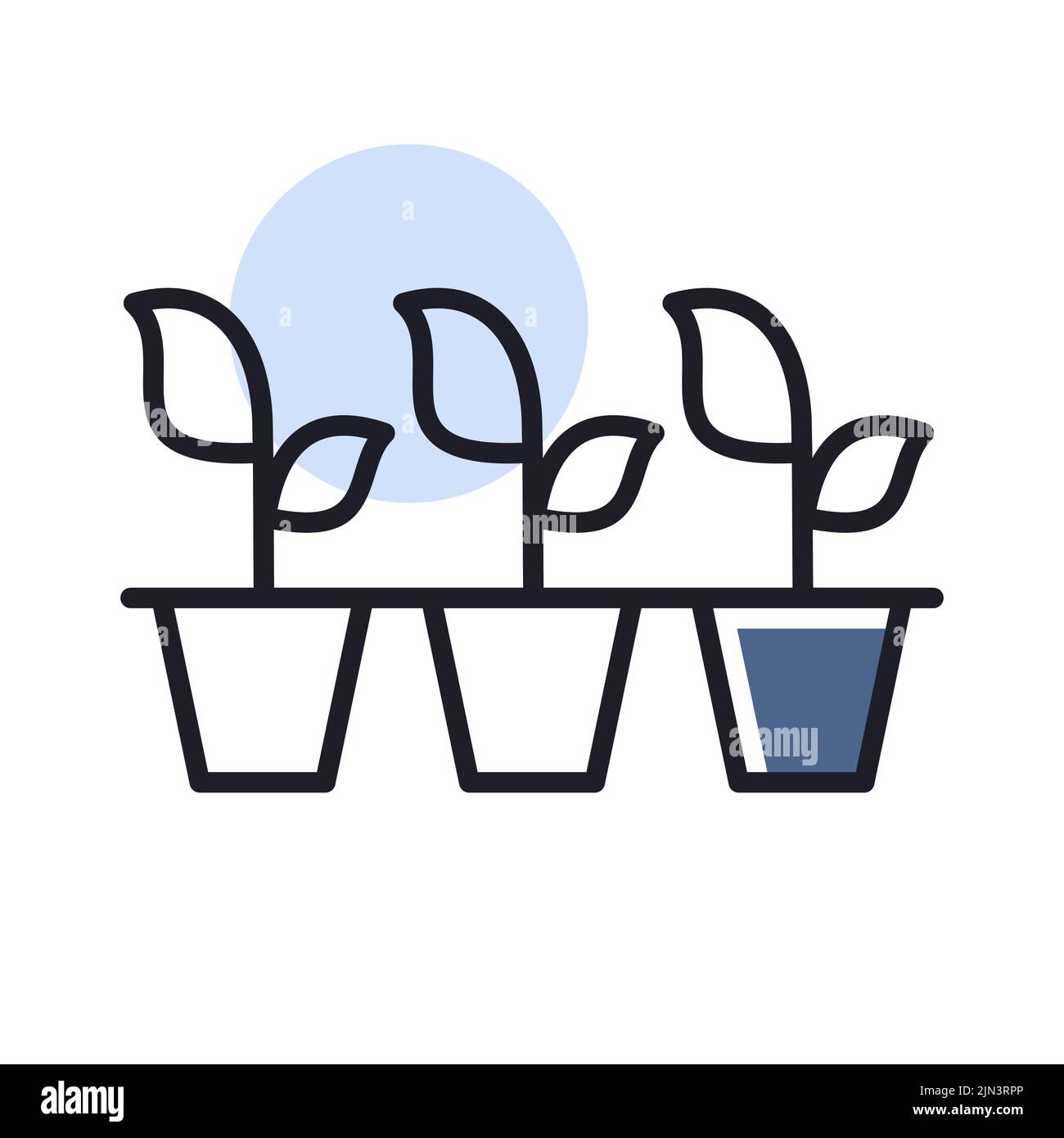 Seedlings or young plants growing in plastic pot vector icon. Graph ...