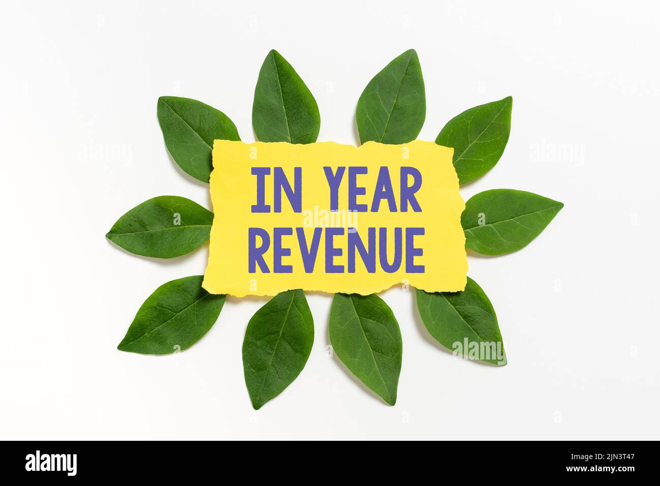Conceptual caption In Year Revenue. Business showcase Annual business ...