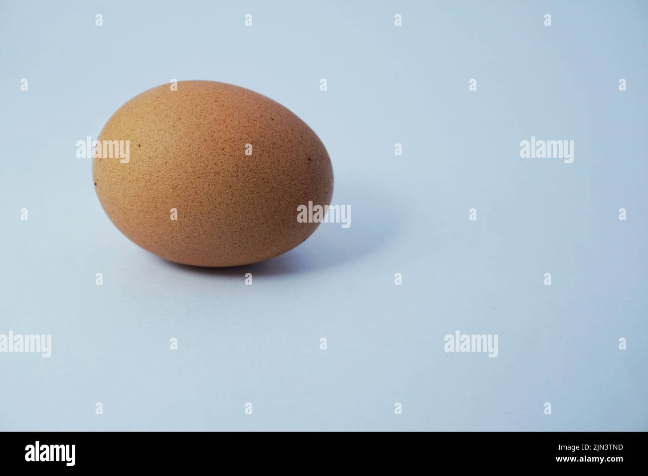 an egg on a white background Stock Photo - Alamy