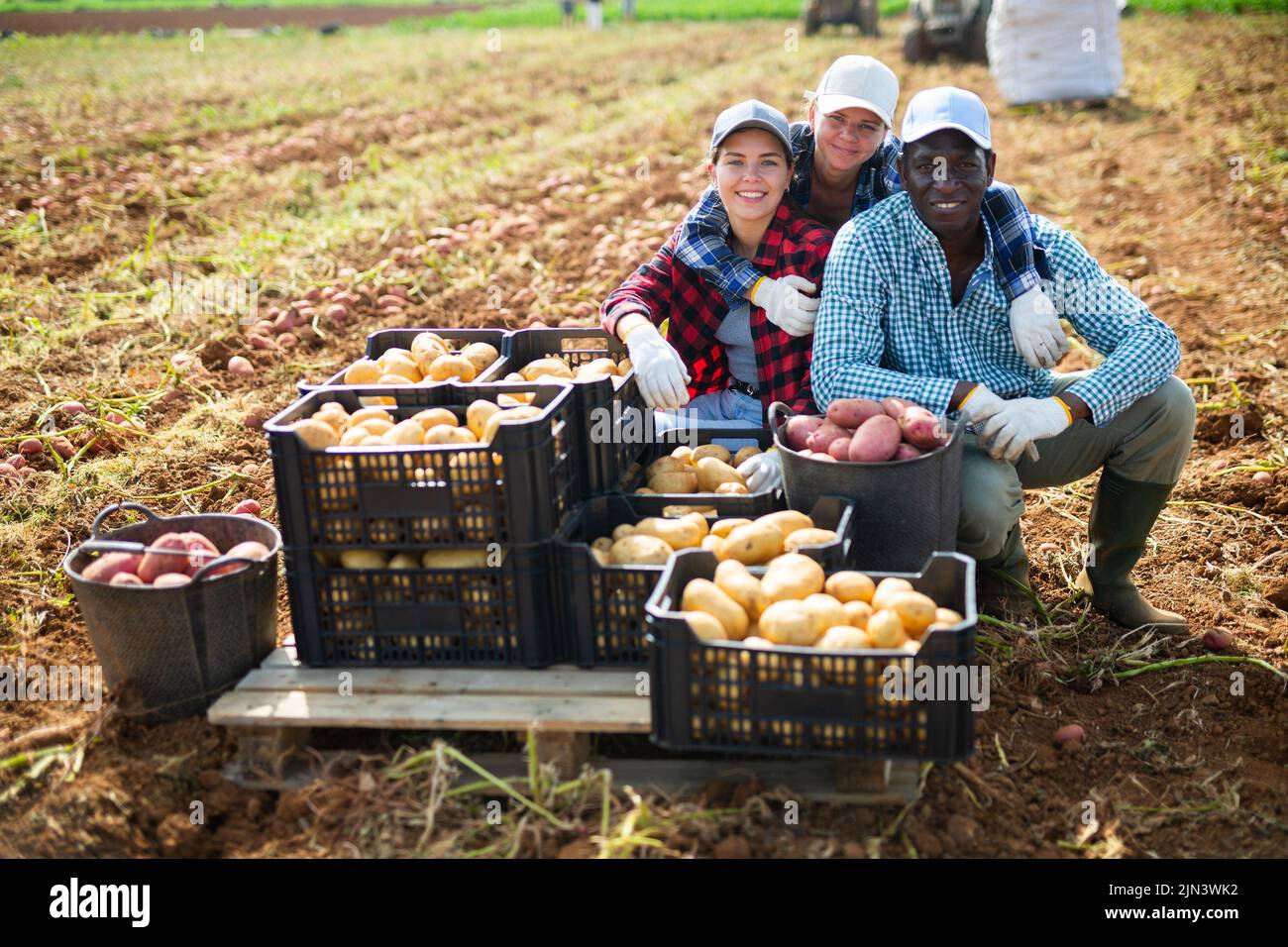 Farmers posing on vegetable hi-res stock photography and images - Alamy