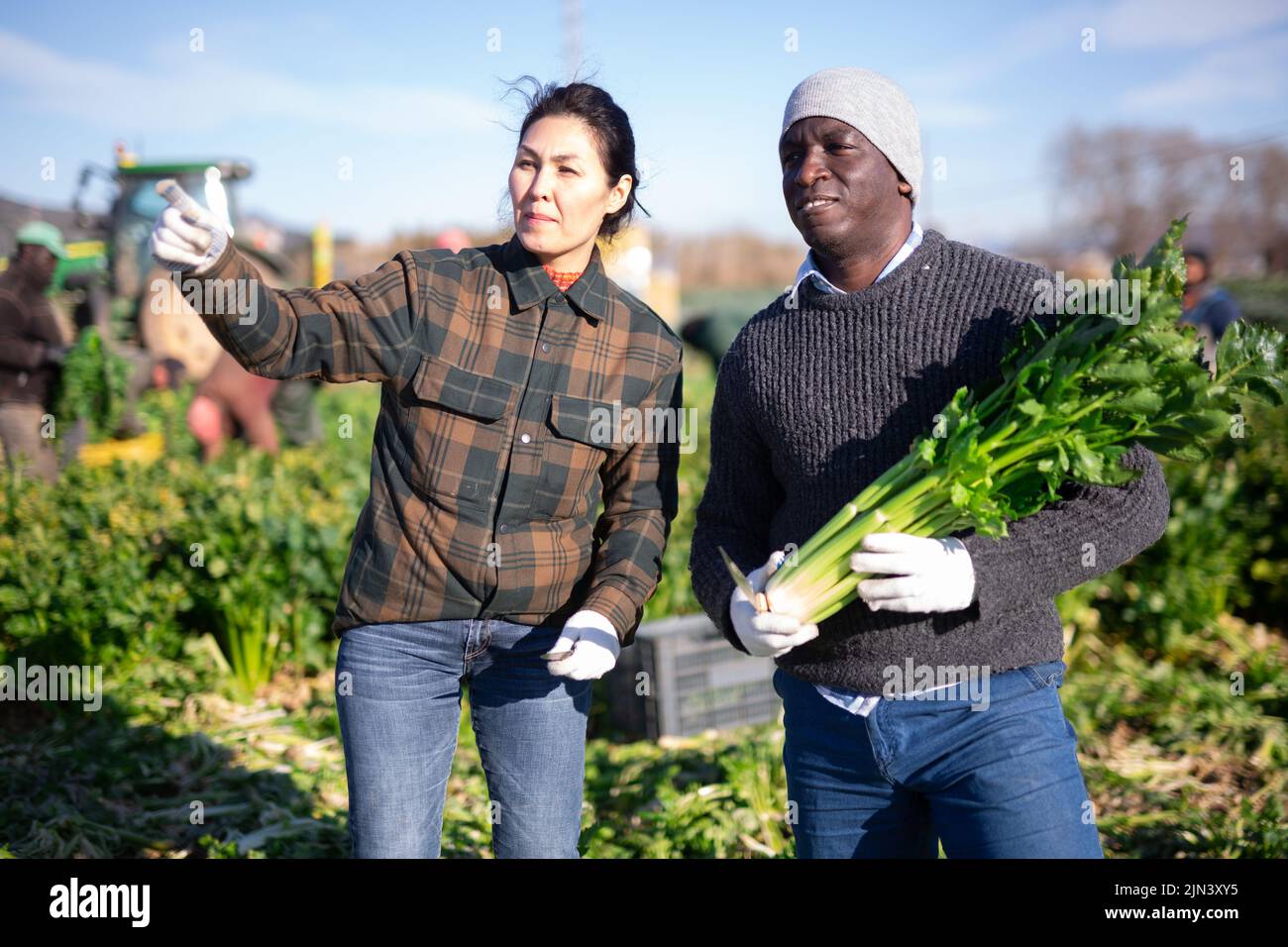 Female farmer planning hi-res stock photography and images - Alamy