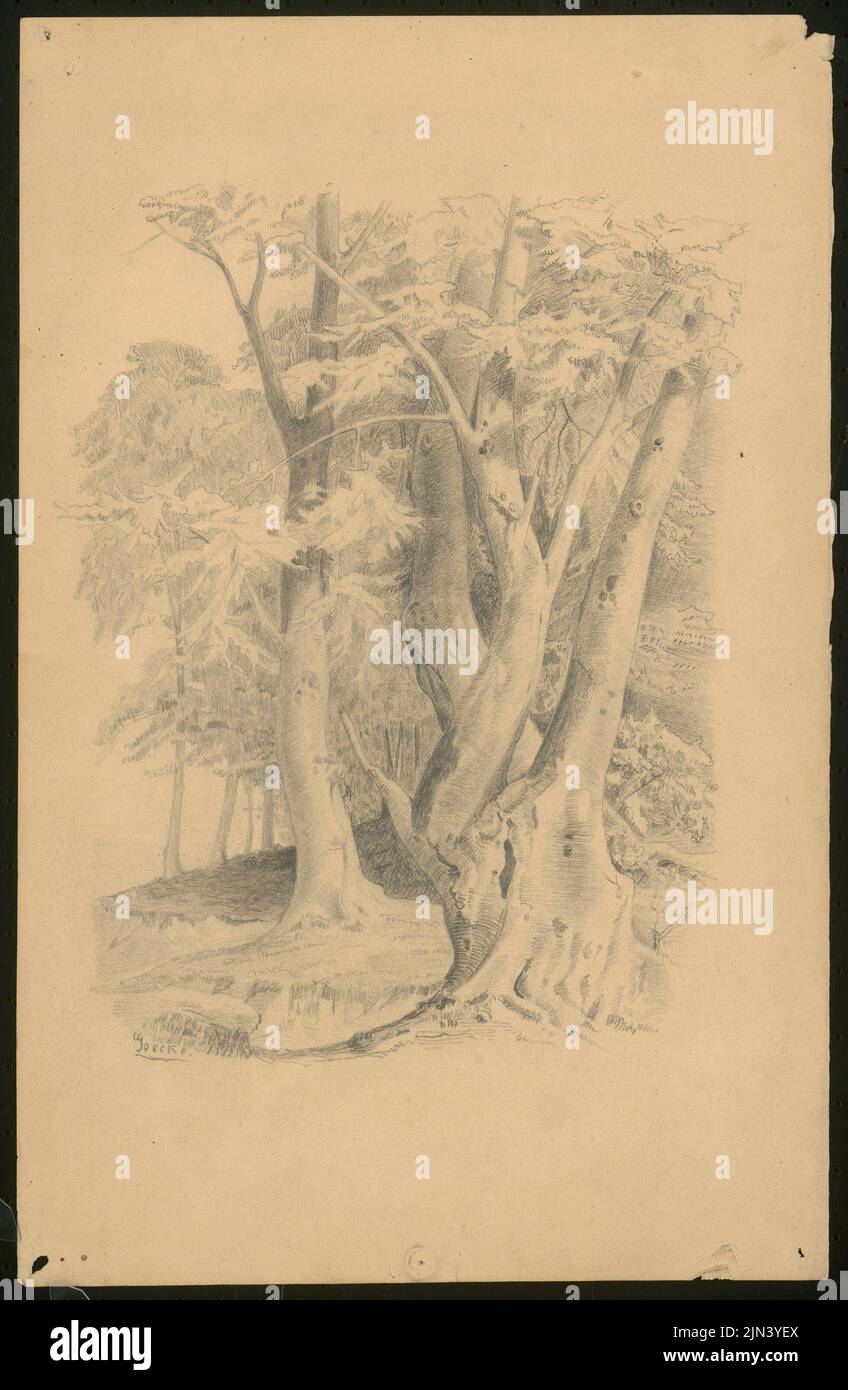 Theodor goecke 1850 1919 hi-res stock photography and images - Alamy