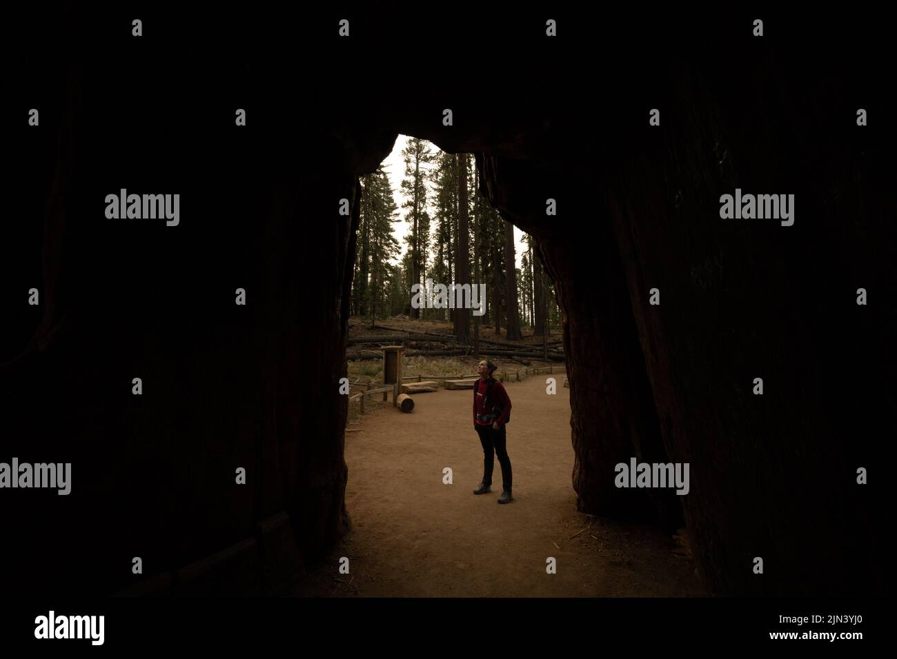 Entry national park entrance california hi-res stock photography and ...