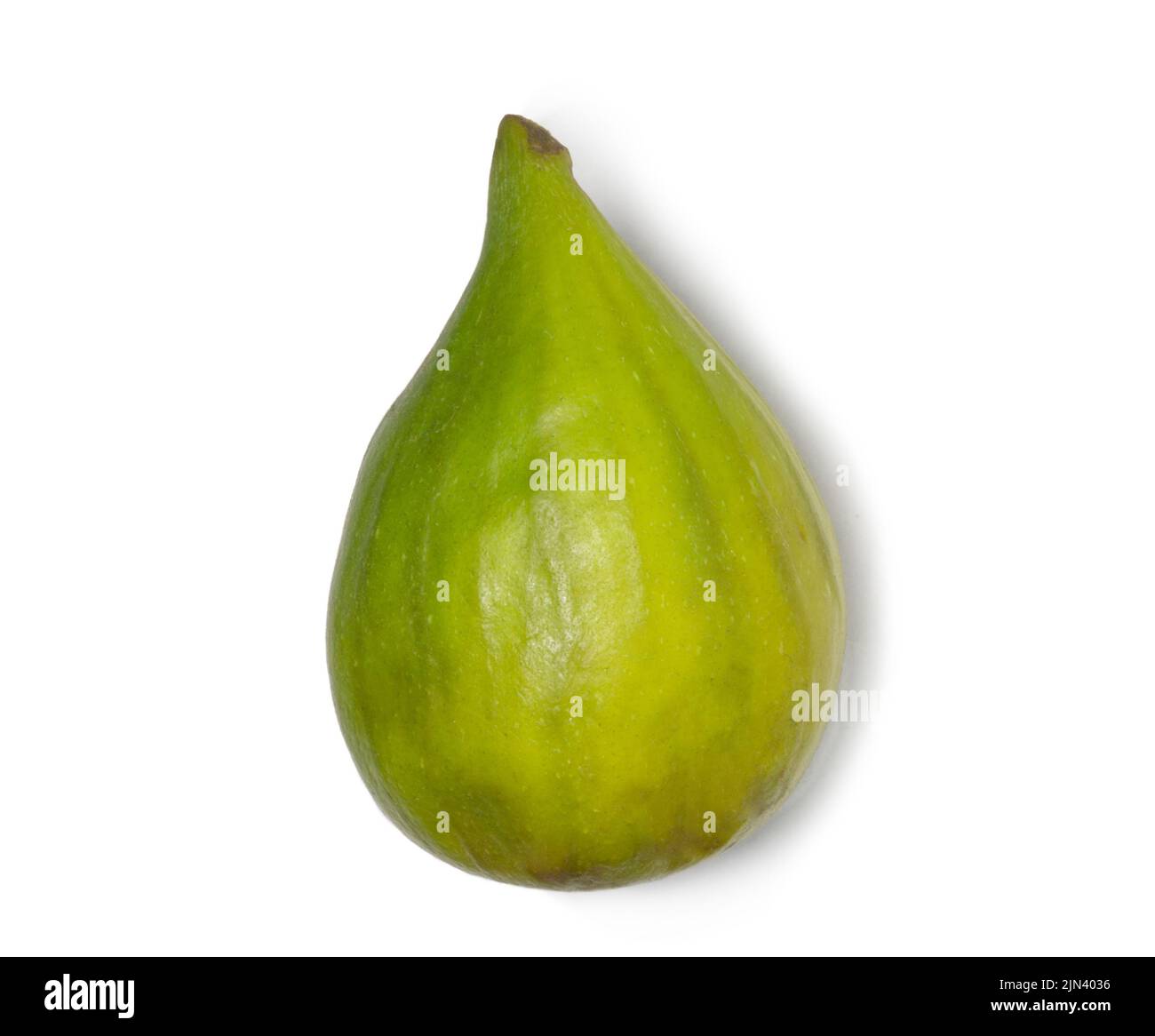 Cutting mulberry Cut Out Stock Images & Pictures - Alamy