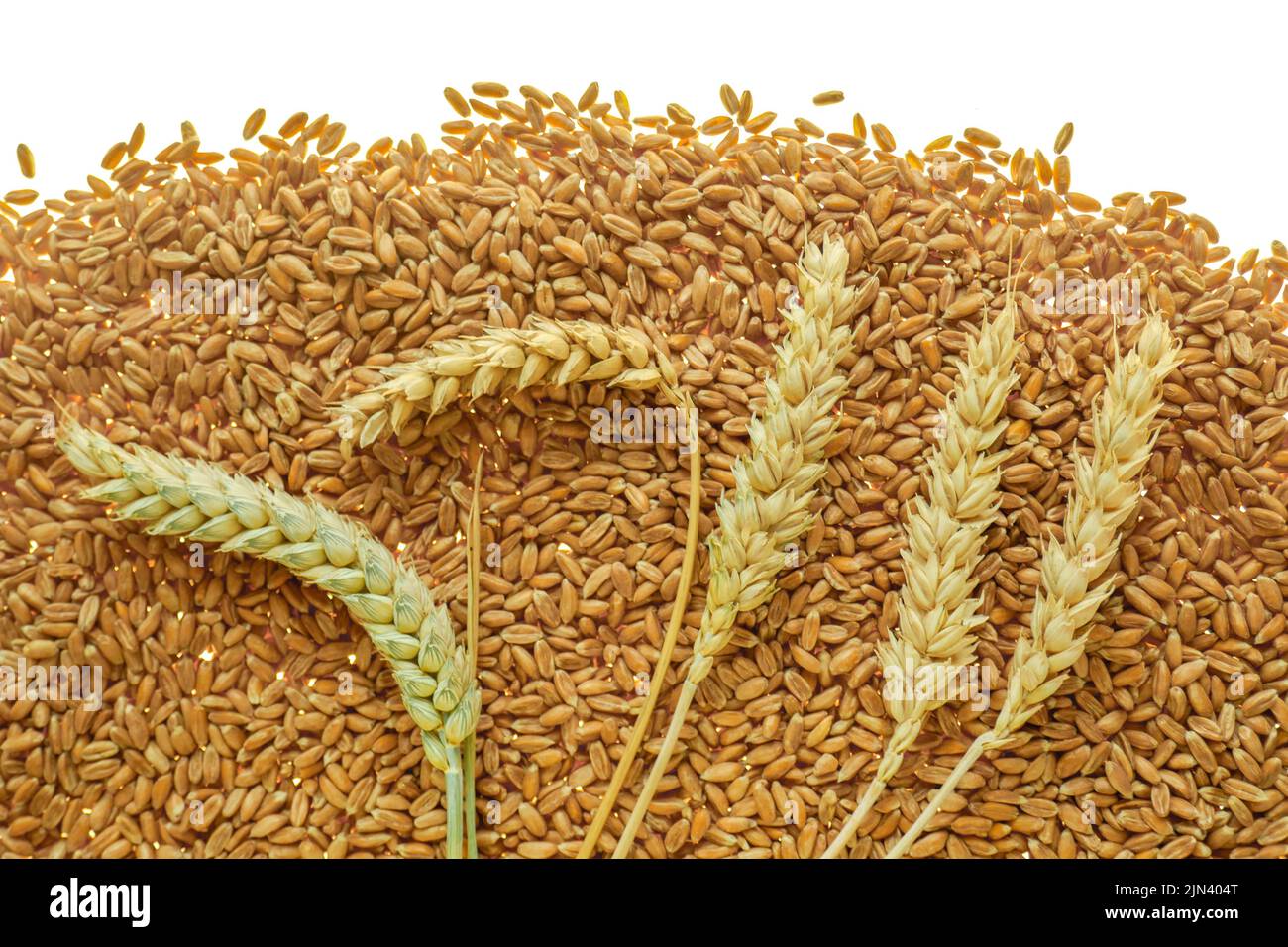 grain texture.Spikelets of ripe yellow wheat.Ripe wheat.Wheat harvest Stock Photo - Alamy