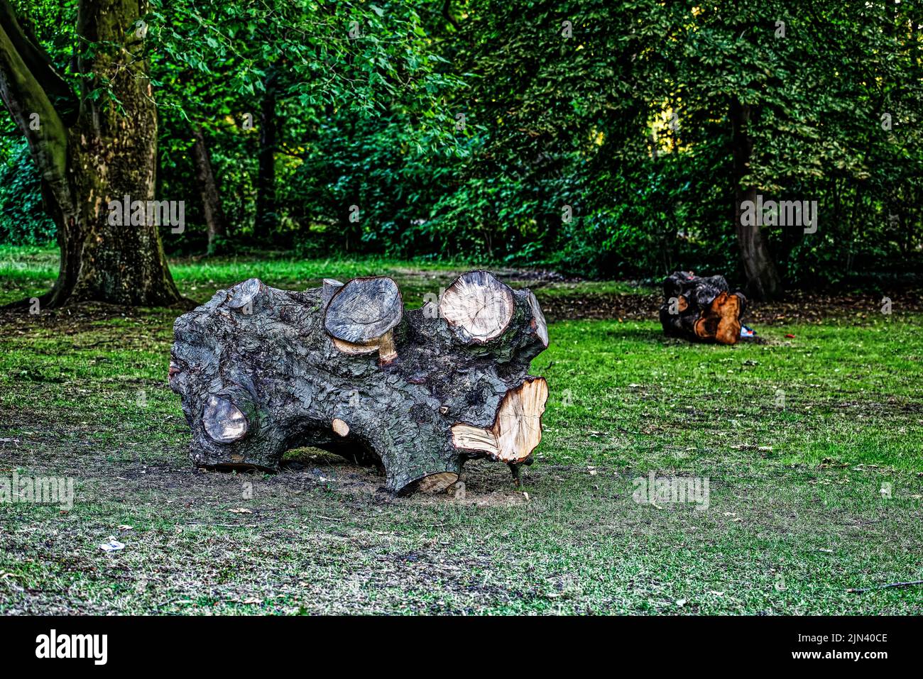Neues Rathaus Hannover. Deutschland Stock Photo - Alamy
