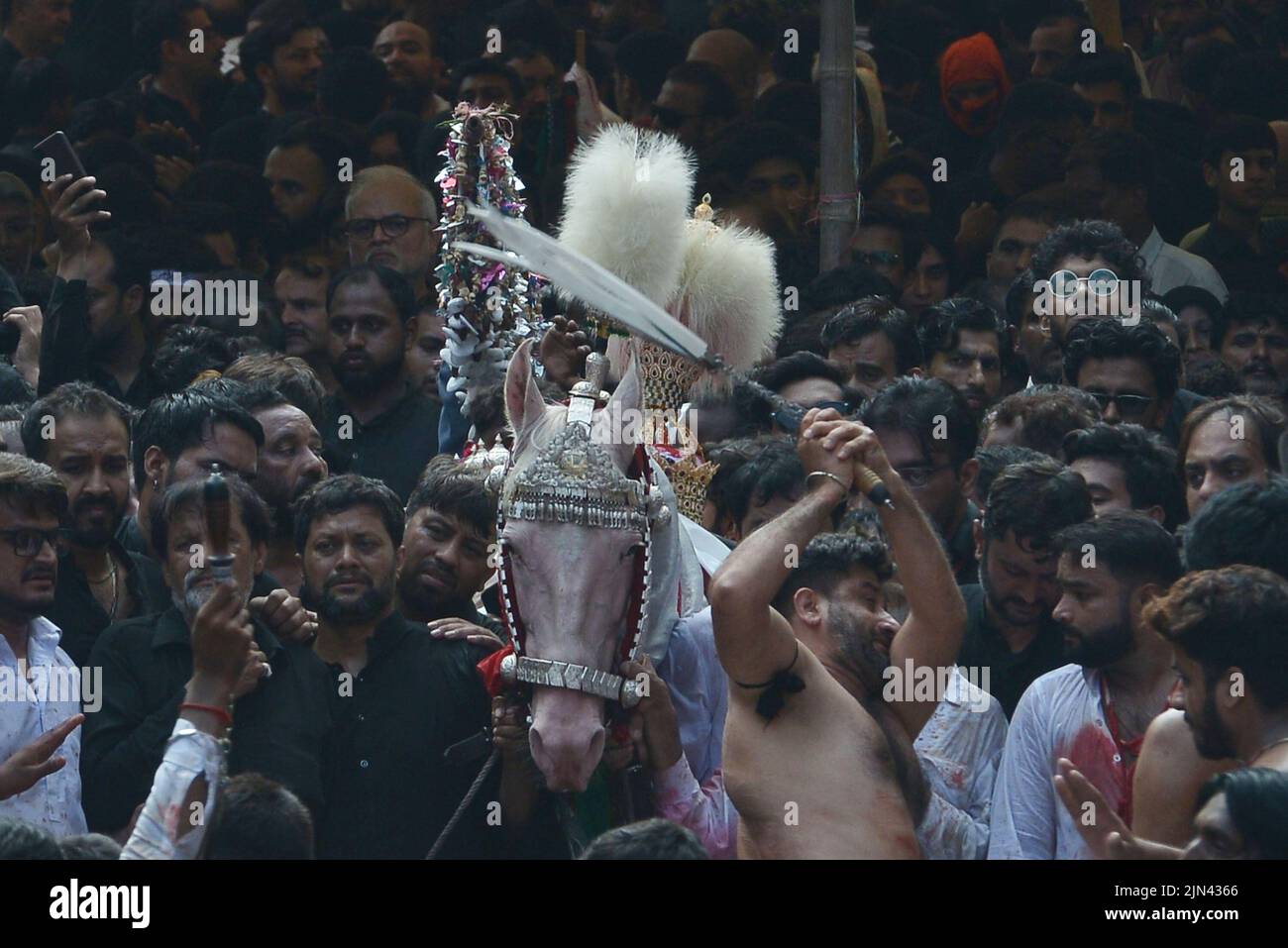Lahore, Punjab, Pakistan. 8th Aug, 2022. Pakistani Shiite Muslim ...