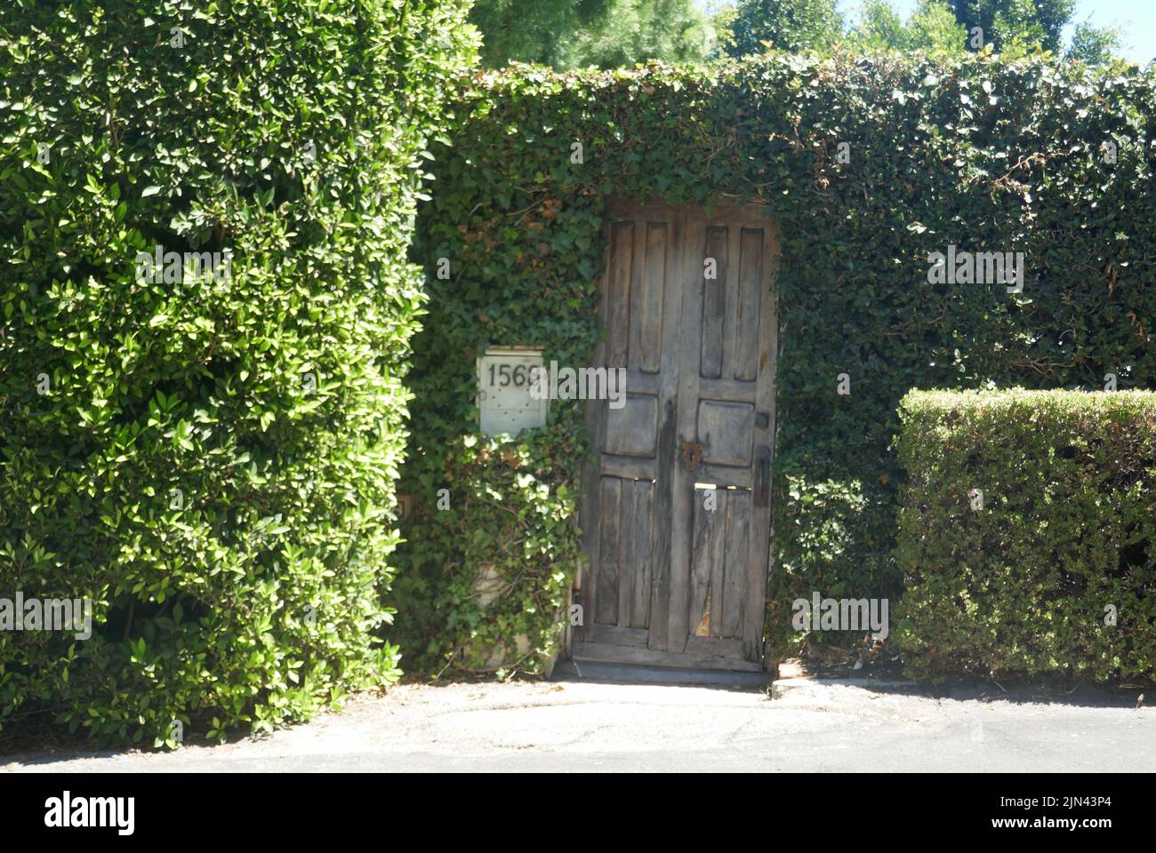 Fawn hall hi-res stock photography and images - Alamy