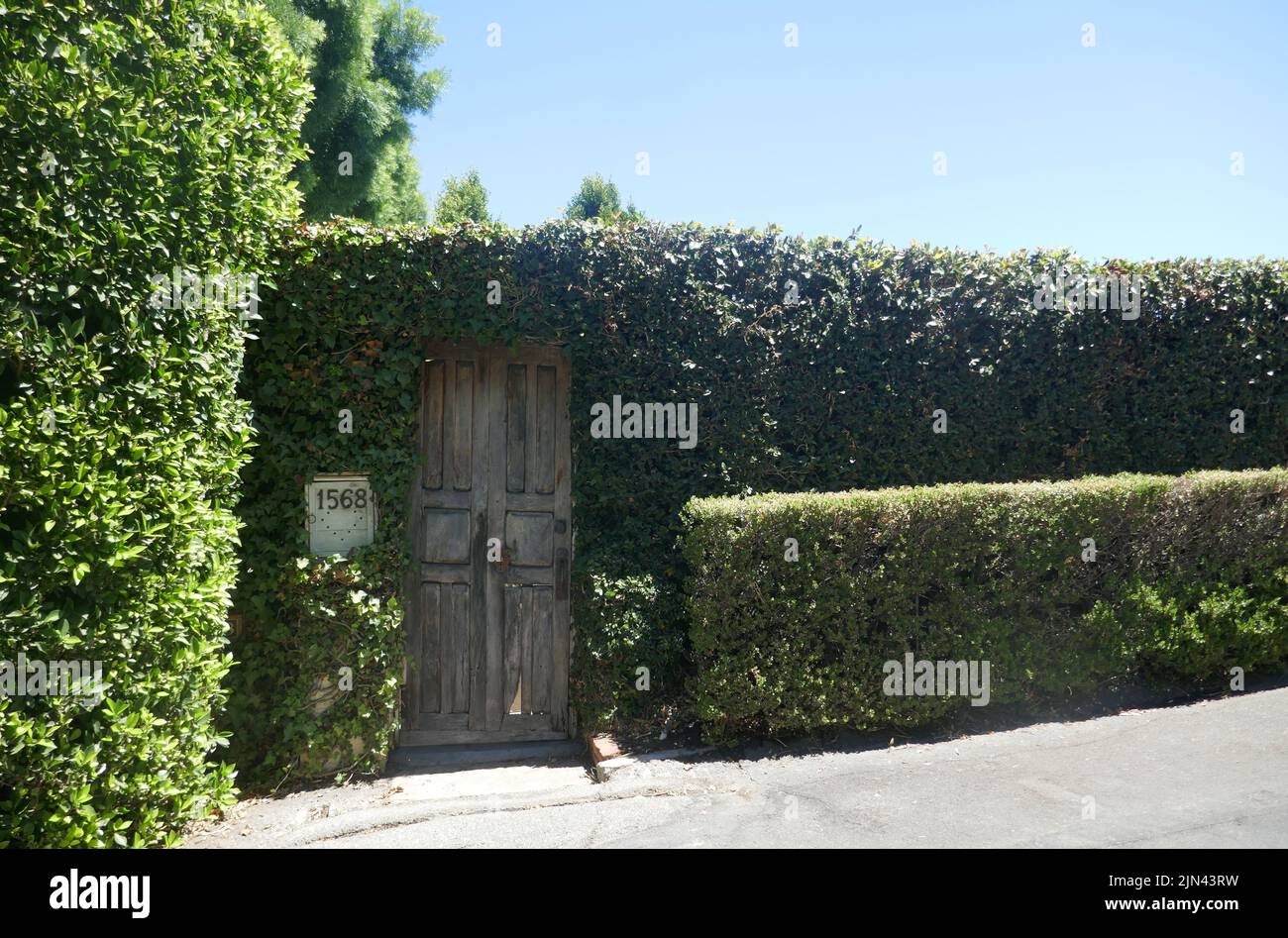 Fawn hall hi-res stock photography and images - Alamy