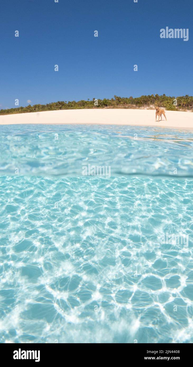 Conception island bahamas hi-res stock photography and images - Alamy