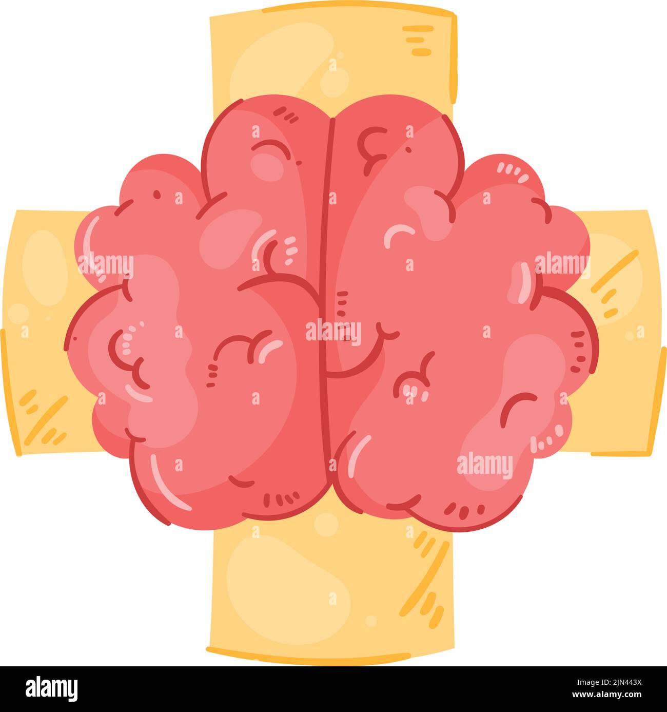 Illustration human brain cross Stock Vector Images - Alamy