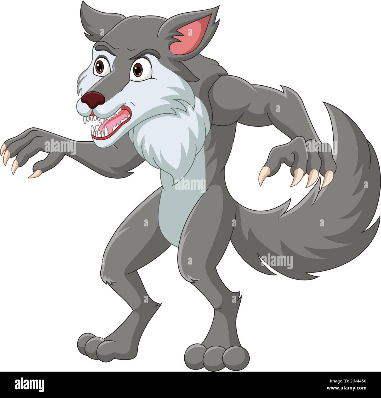 Cartoon wolf standing on white background Stock Vector Image & Art - Alamy