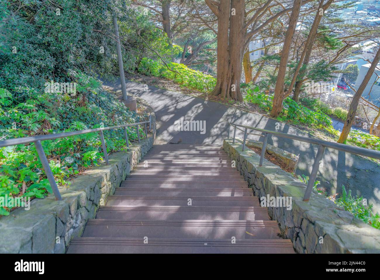 Concrete outdoor stairs leading to a concrete trail below in San ...