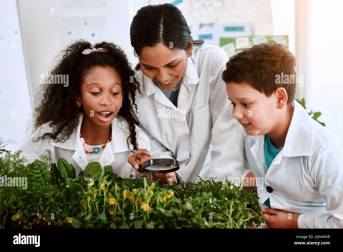 The best part of life is learning about it. an adorable little boy and ...