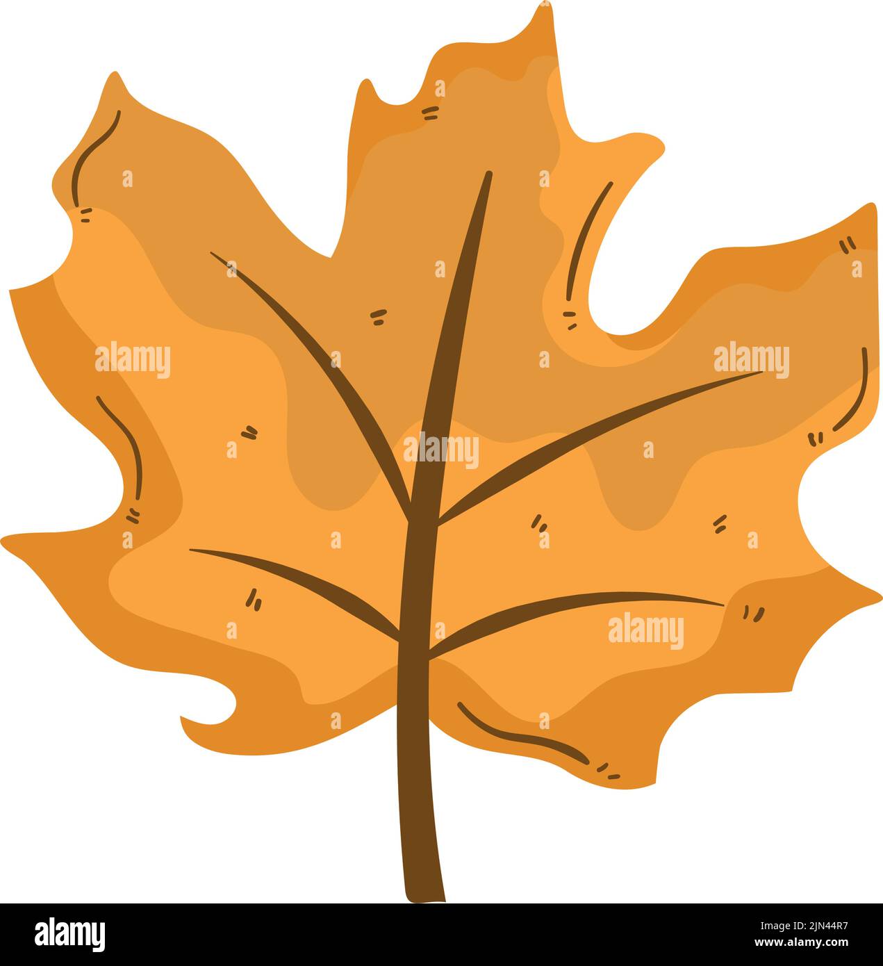mapple autumn leaf plant icon Stock Vector Image & Art - Alamy