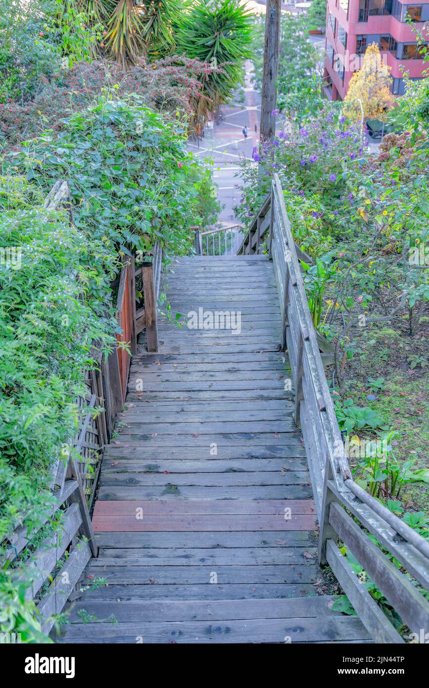 Wooden outdoor staircase on a slope with trees and plants on the side ...