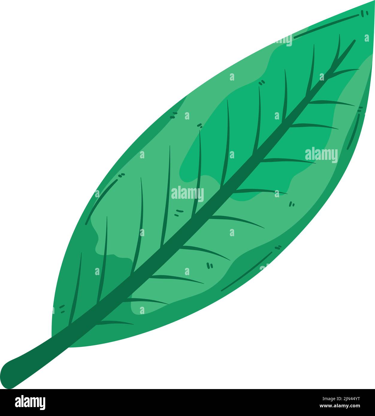 classic leaf plant foliage nature icon Stock Vector Image & Art - Alamy