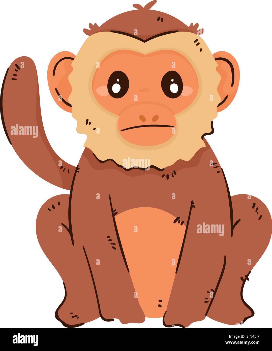tamarin monkey seated animal character Stock Vector Image & Art - Alamy