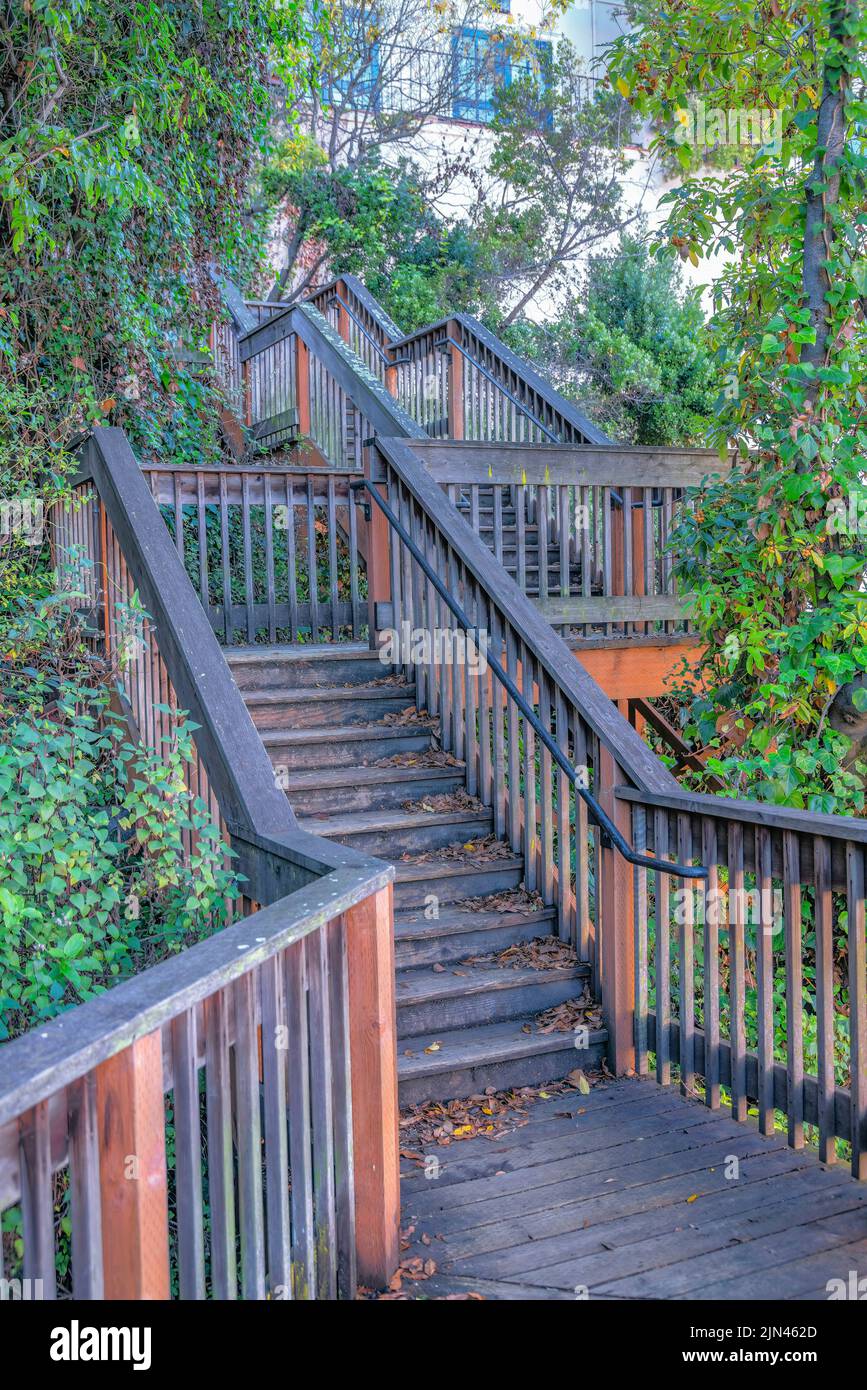 Wooden outdoor staircase with fallen dried leaves on the steps at San ...