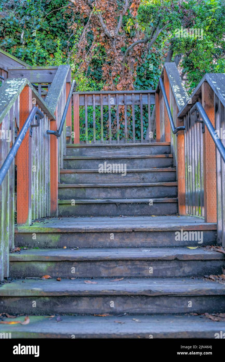 Wooden staircase with weathered steps against the trees at the back in ...