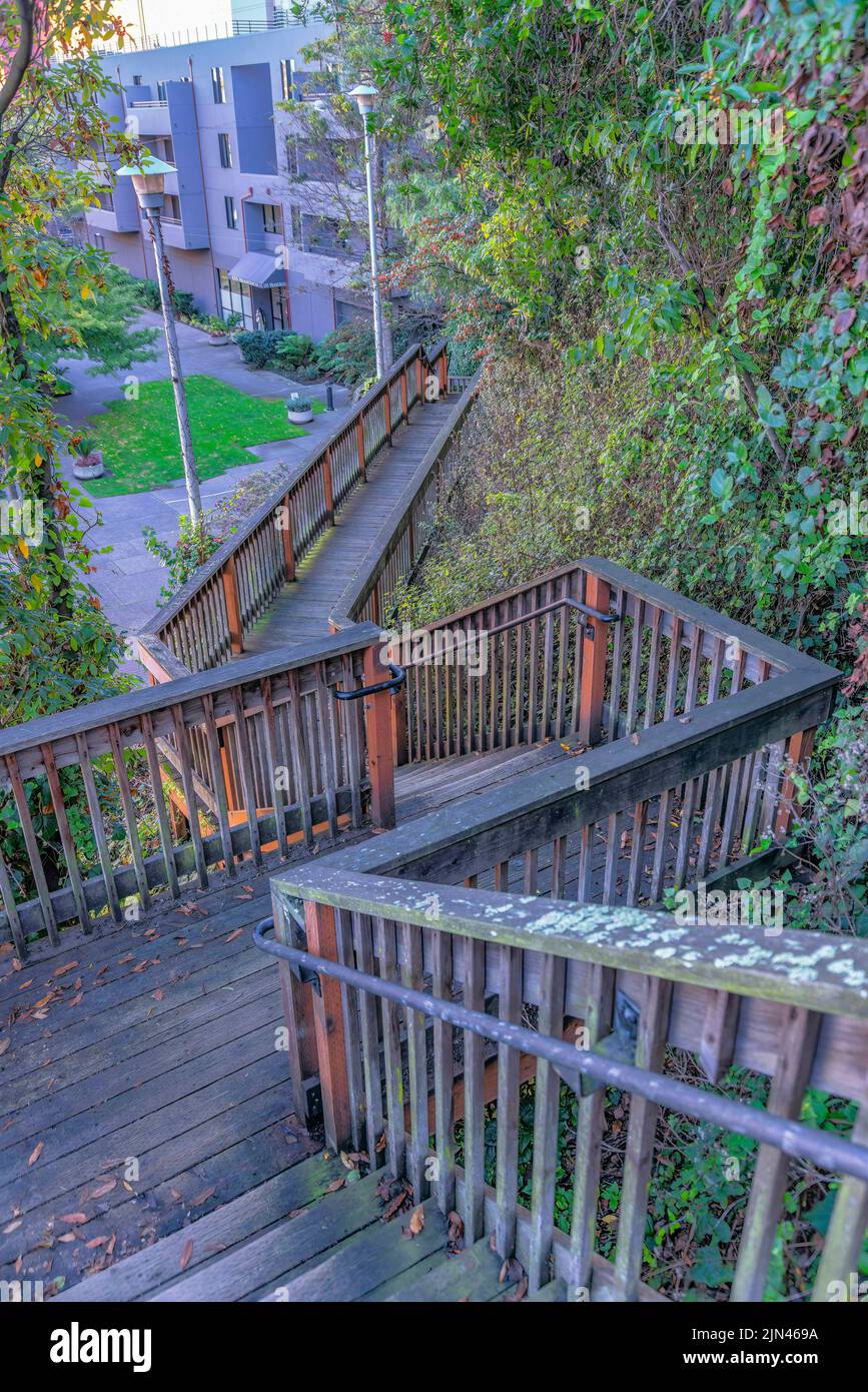 Weathered wood stairs and boardwalk near the slope with plants- San ...