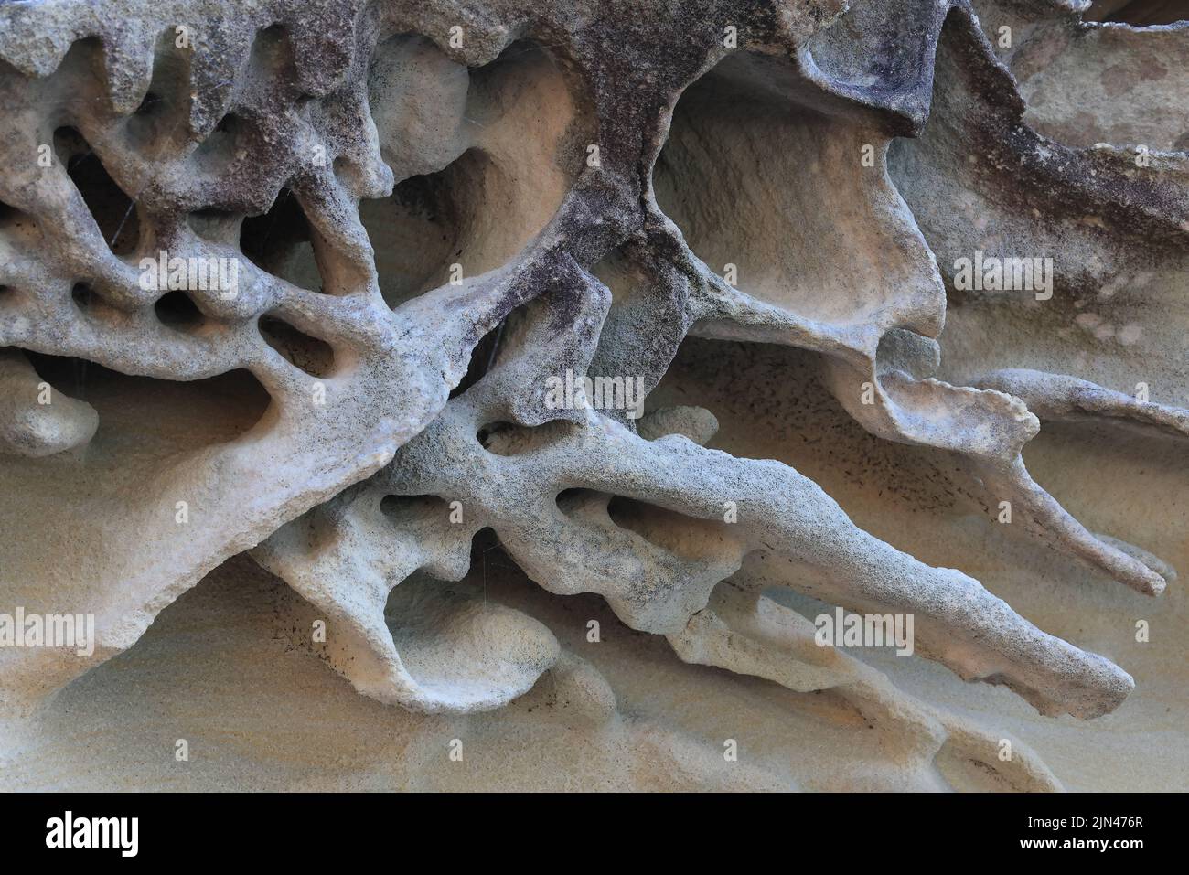 Sandstone weathering in the Royal National Park, Sydney Australia Stock ...