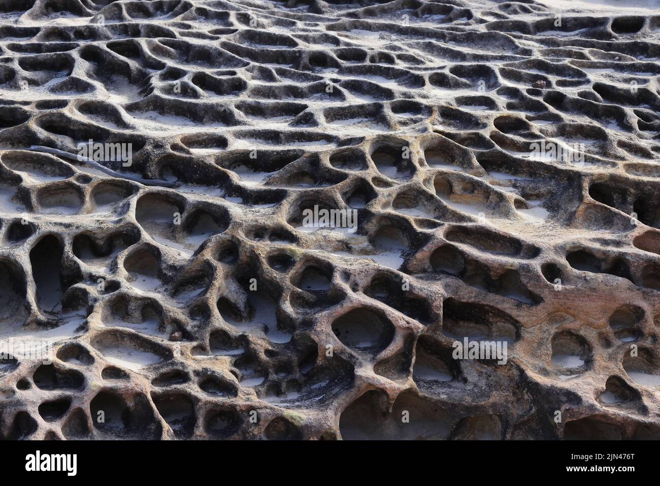 Sydney sandstone rock erosion hi-res stock photography and images - Alamy