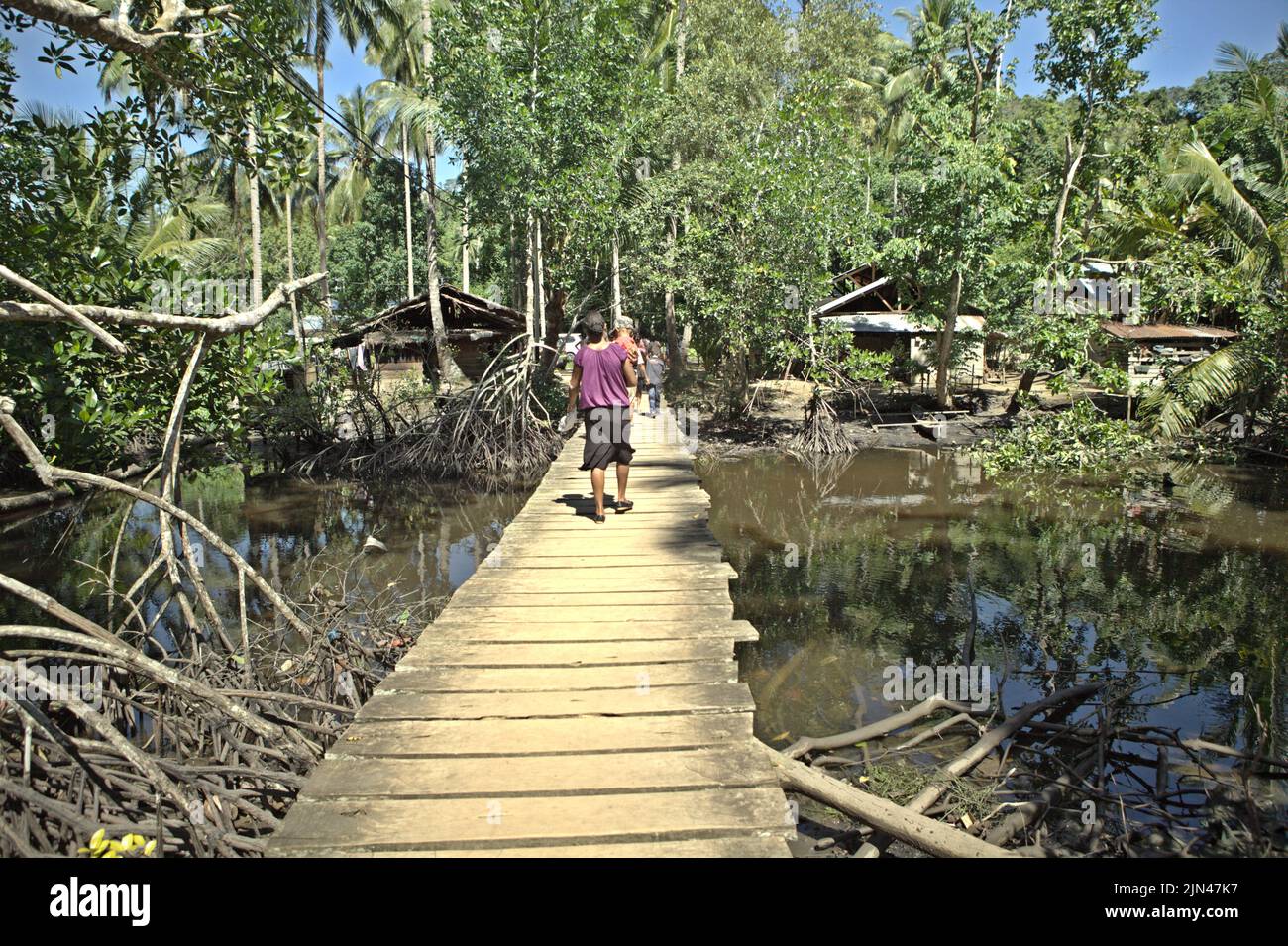 Villagers walking on a wooden walkway built above coastal wetland in ...
