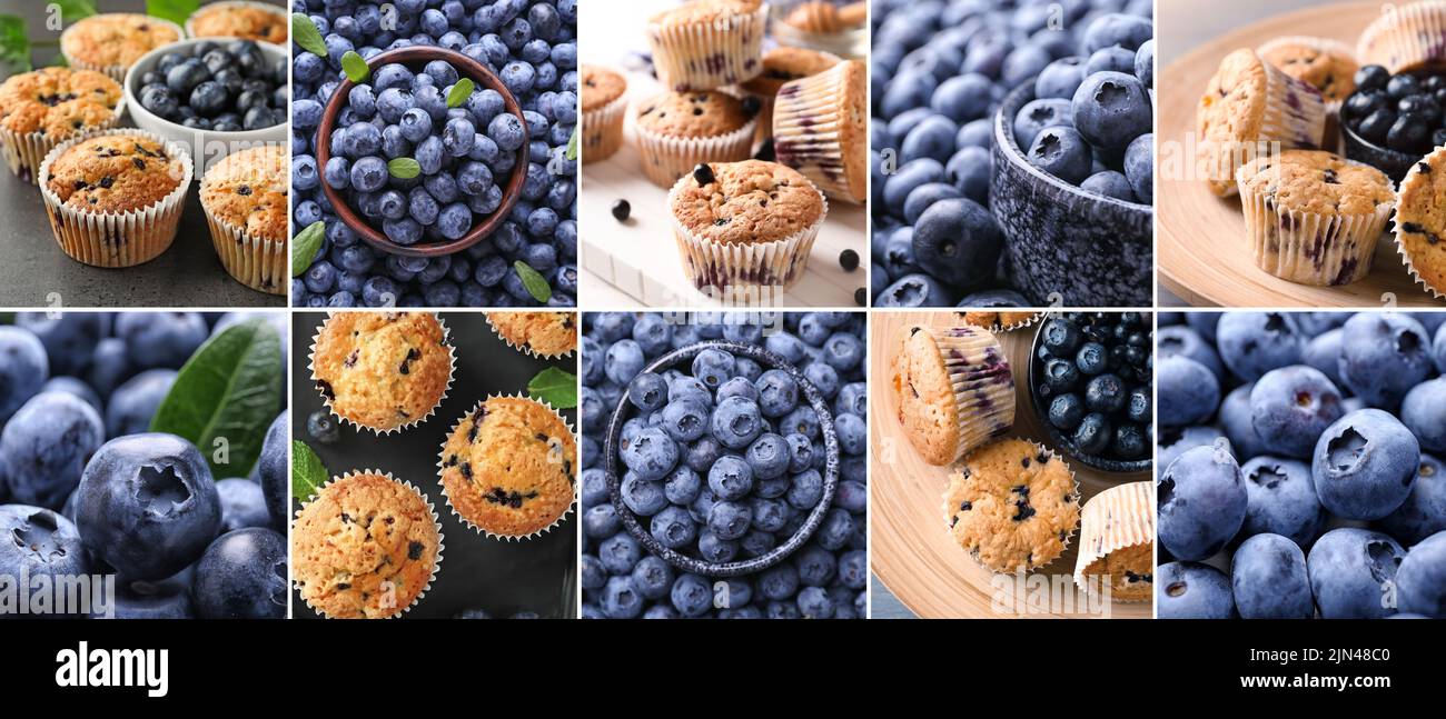 Collage of sweet muffins and ripe blueberries Stock Photo - Alamy
