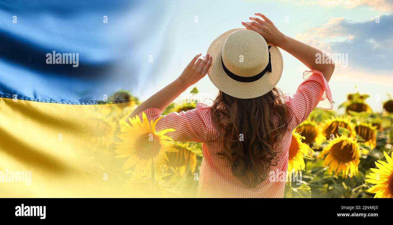 Collage with beautiful young woman in sunflower field and flag of ...