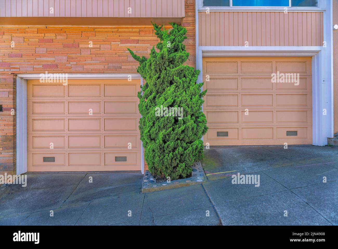 Identical garage doors of townhouses with shrub tree in the middle-San ...