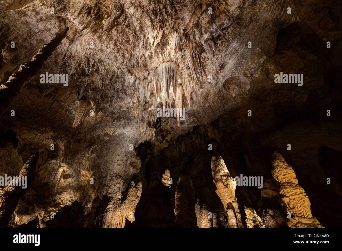 Big Room, Carlsbad Caverns National Park, New Mexico, USA Stock Photo ...