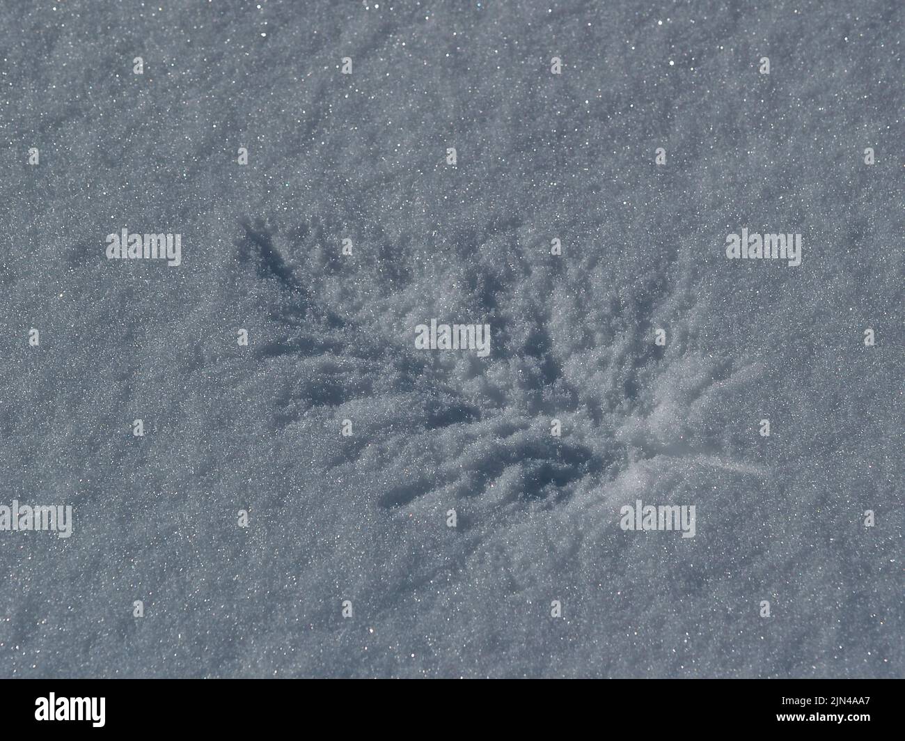 Leaf seasons hi-res stock photography and images - Alamy