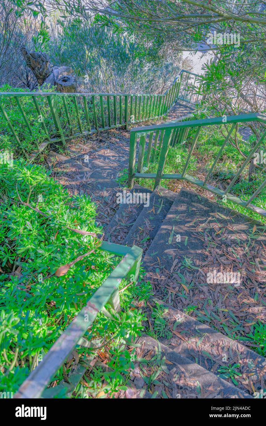 Outdoor stairs with fallen leaves on the concrete steps and painted ...