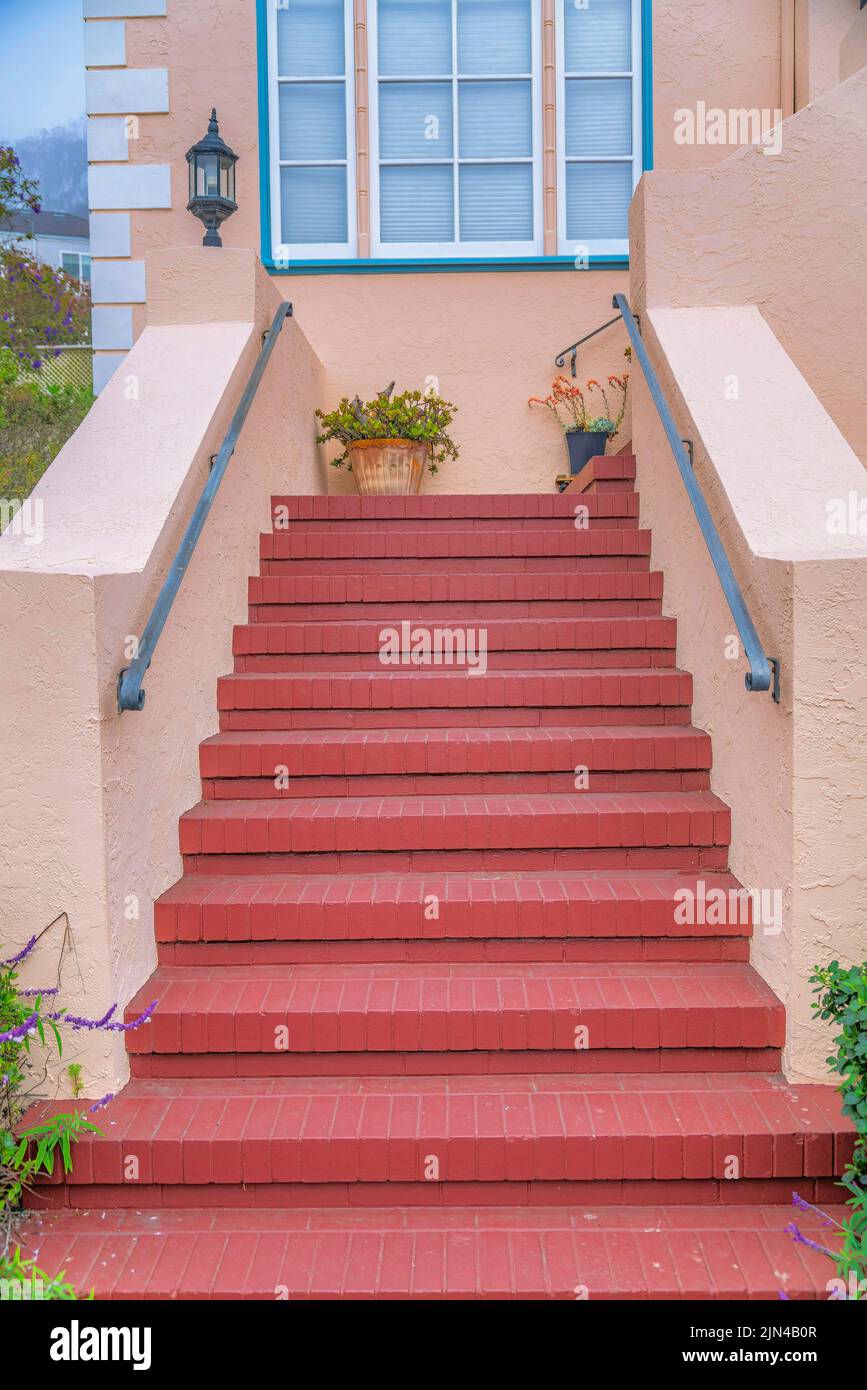 Staircase entrance of a house with plants on its landing near the paned ...
