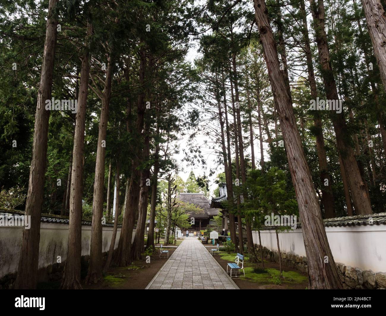 Nankoku, Kochi prefecture, Japan - April 6, 2018: On the grounds of ...