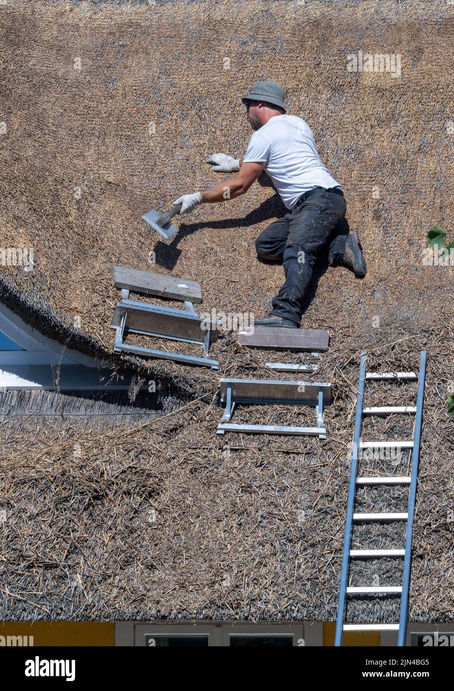 Ahrebshoop, Germany. 03rd Aug, 2022. A thatcher is working on a new ...