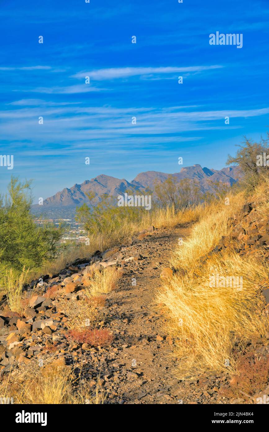 Rough trail on a mountain slope at Tucson, Arizona. Trail with grasses ...