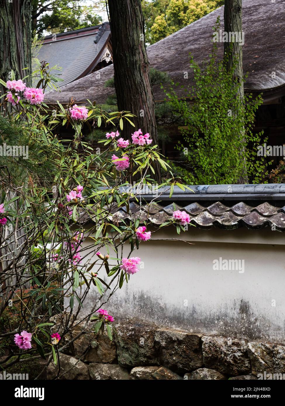 Nankoku, Kochi prefecture, Japan - April 6, 2018: On the grounds of ...