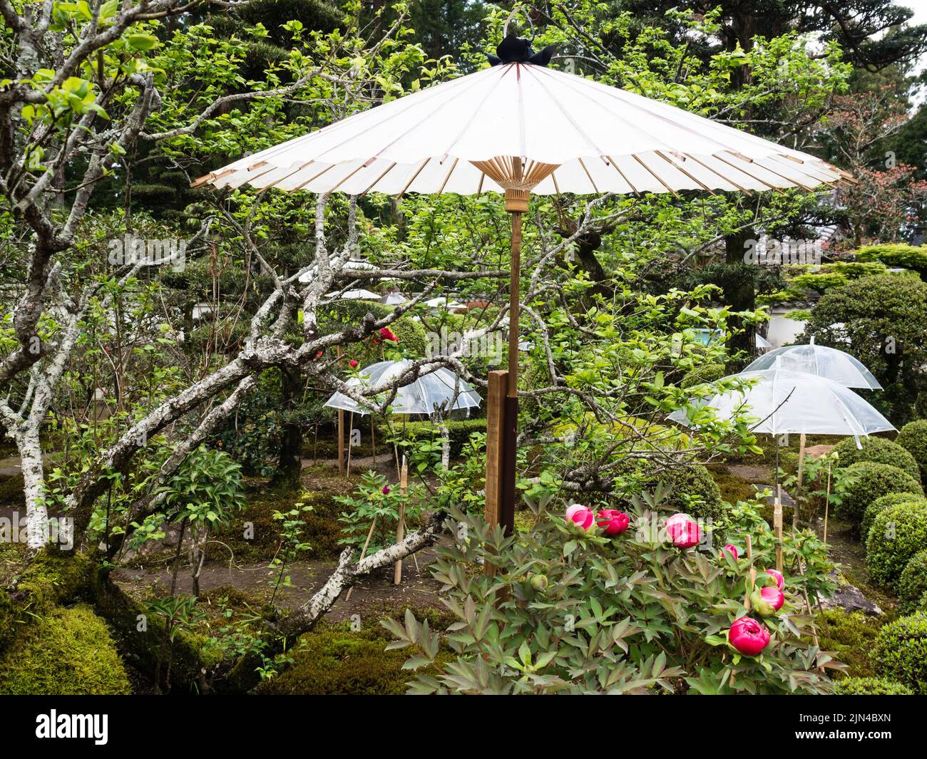 Nankoku, Kochi prefecture, Japan - April 6, 2018: Traditional Japanese ...