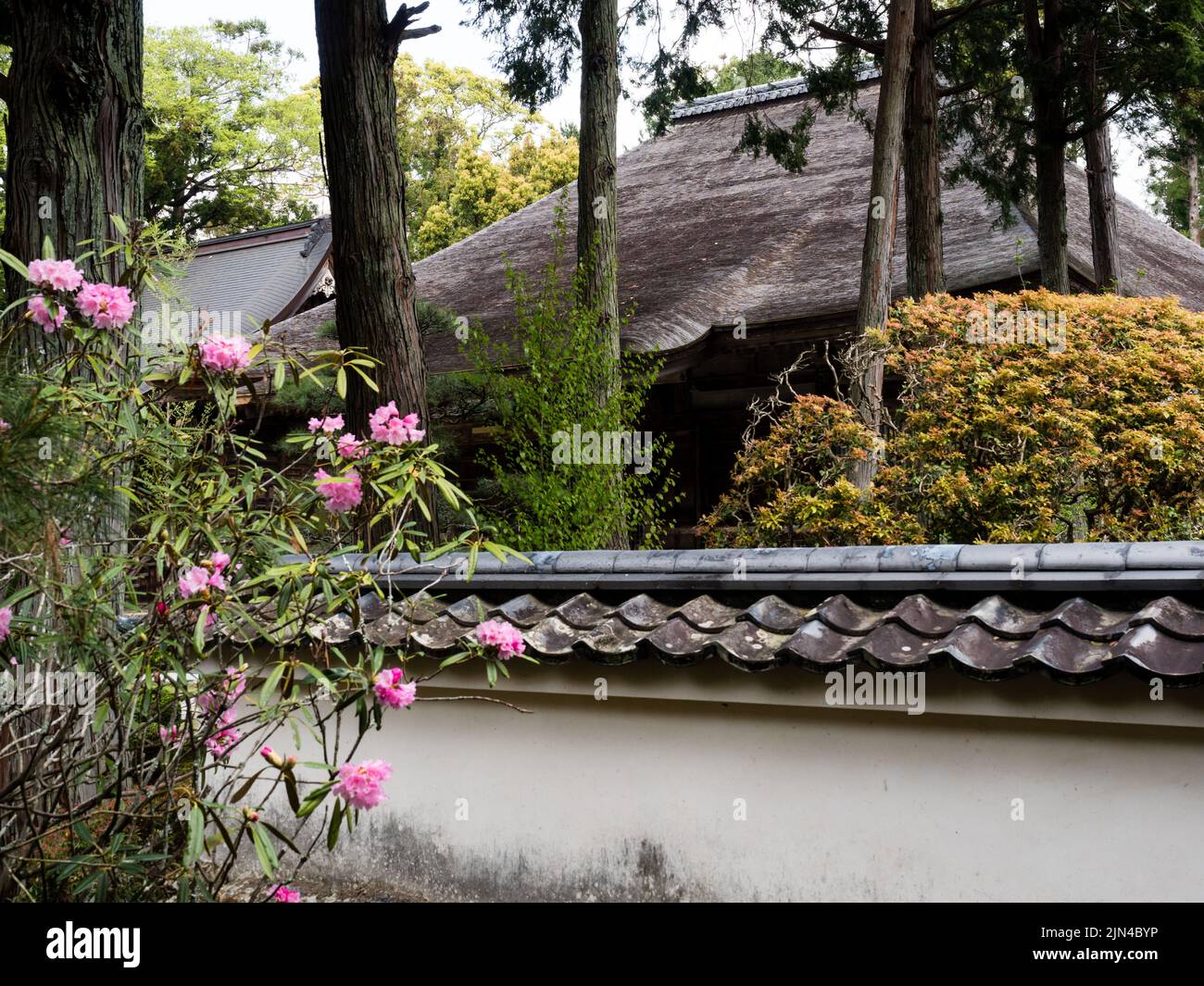 Nankoku, Kochi prefecture, Japan - April 6, 2018: On the grounds of ...
